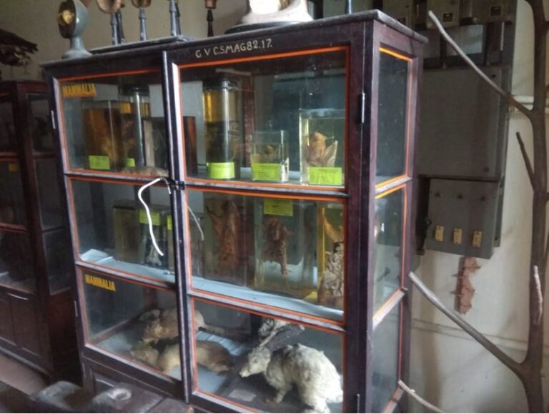 Zoology Research Facilities - Govt. Victoria College